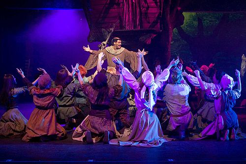 Das Musical Robin Hood