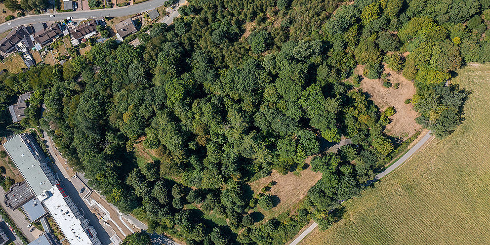 Die Elite des alten „Mescede“